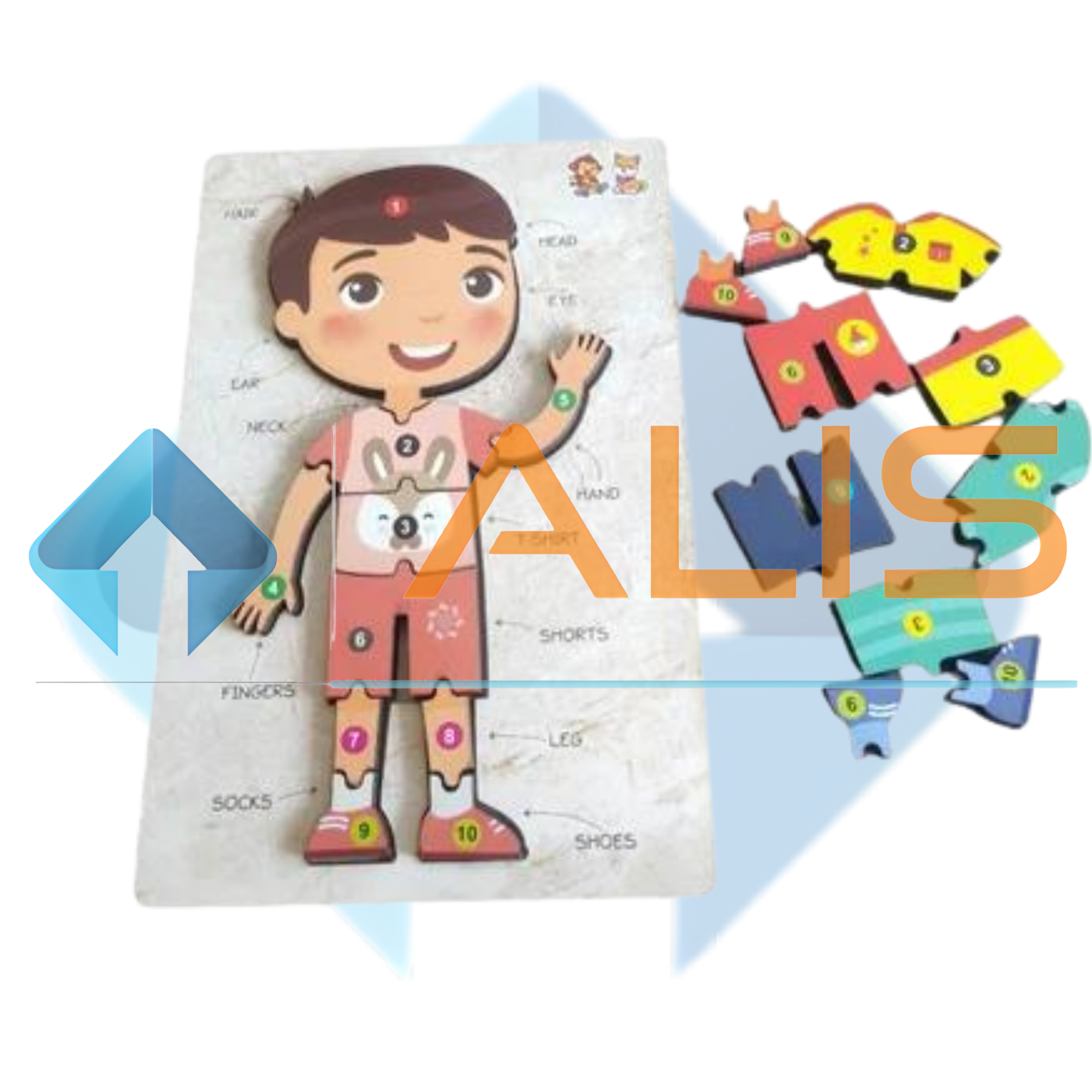 Boy Body Part Puzzle Board – Alis Professional