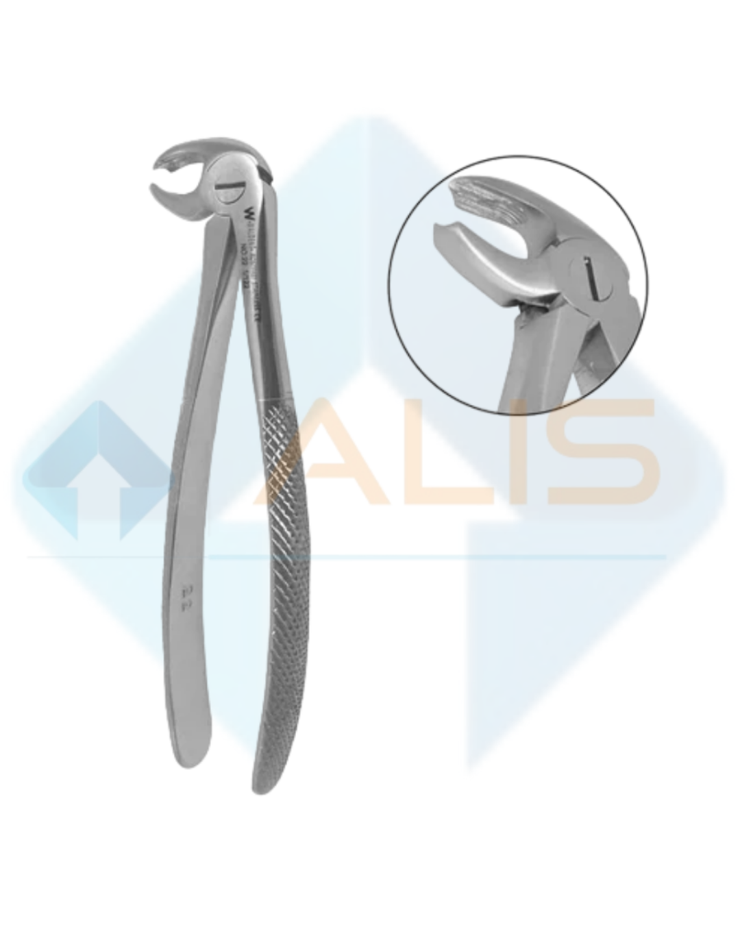 Lower Molars Dental Extraction Forceps – Alis Professional