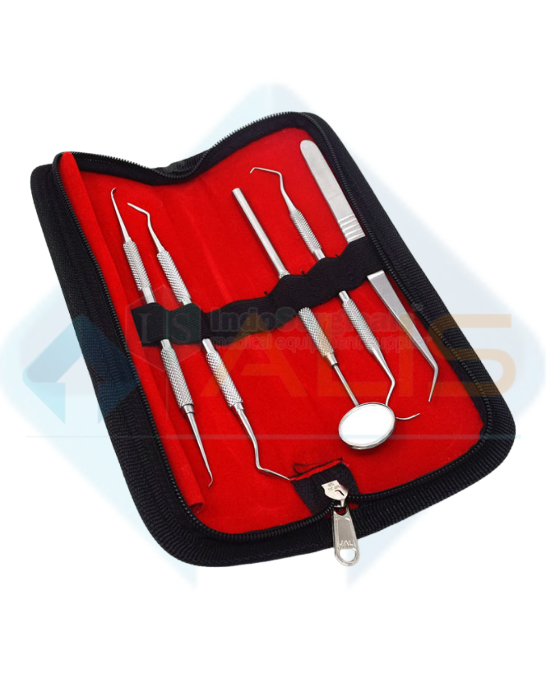 Oral Care Dental Tool Kit Set of 5 – Alis Professional