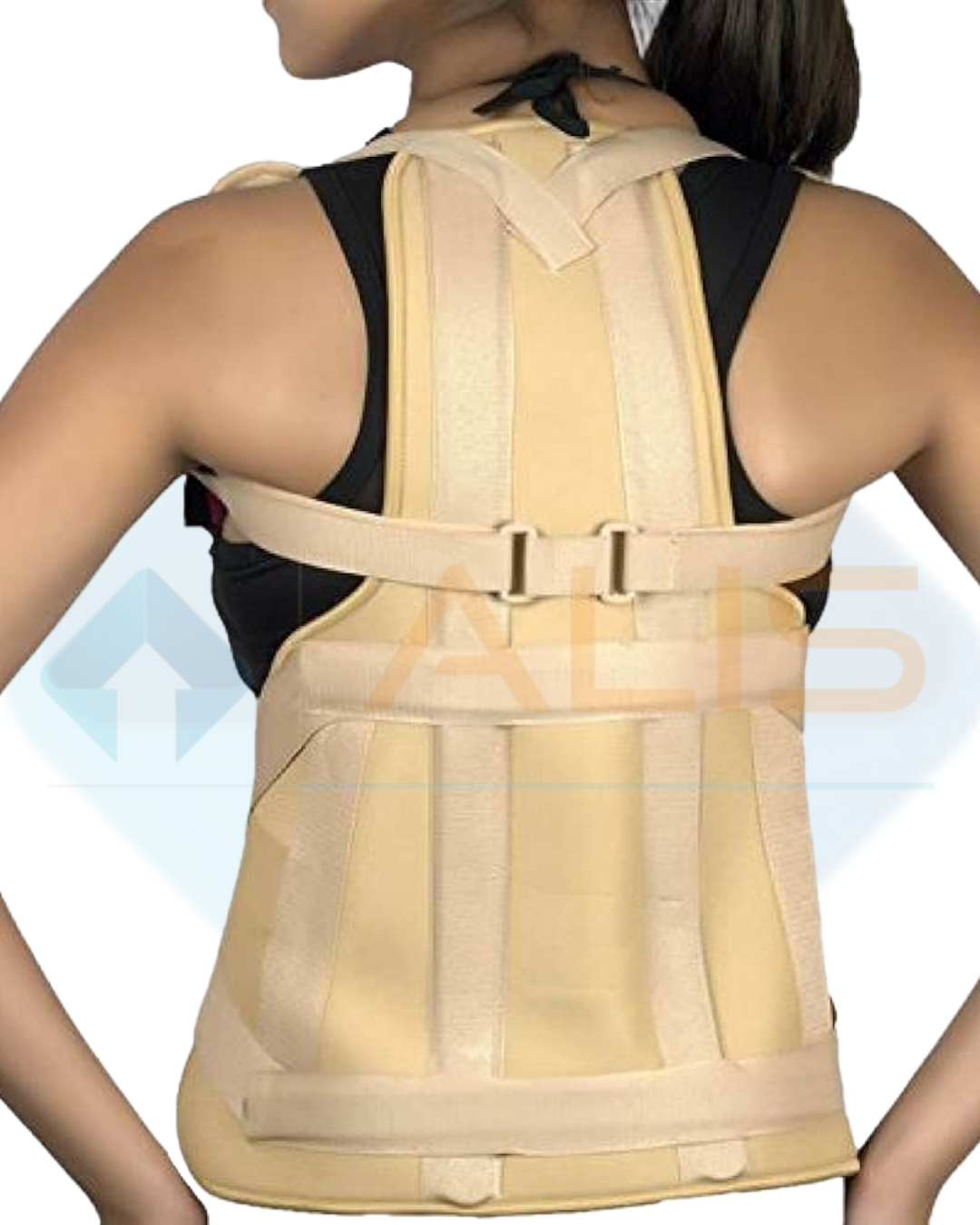 Taylor's Brace/Dorso Lumbar Brace – Alis Professional