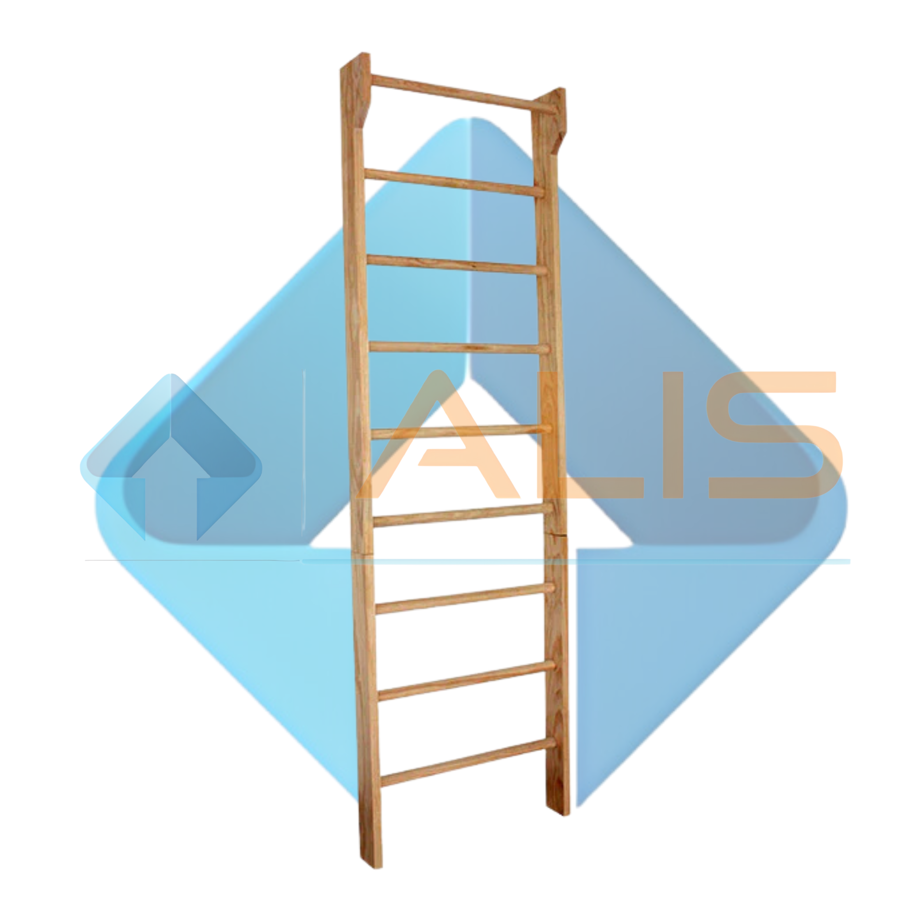 Wall Bars for Physiotherapy and Gymnastics – Alis Professional